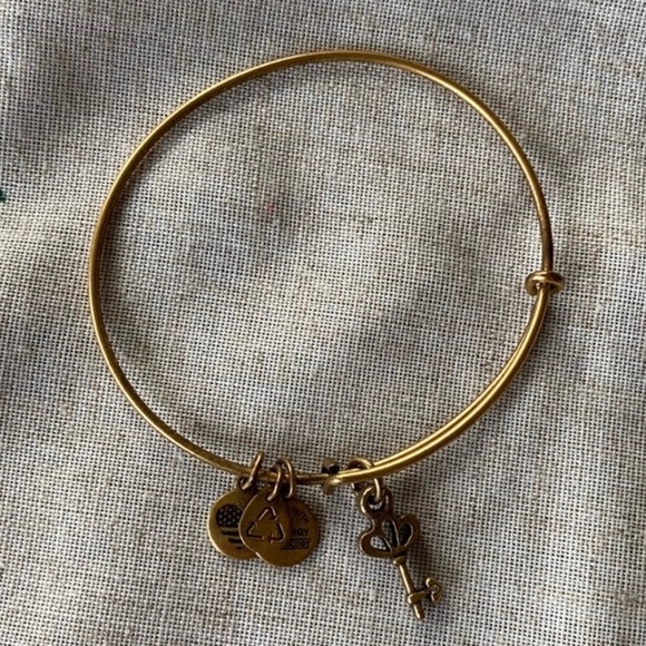I Love South Carolina Silver Bracelet Inspired By Alex Ani, 50% OFF